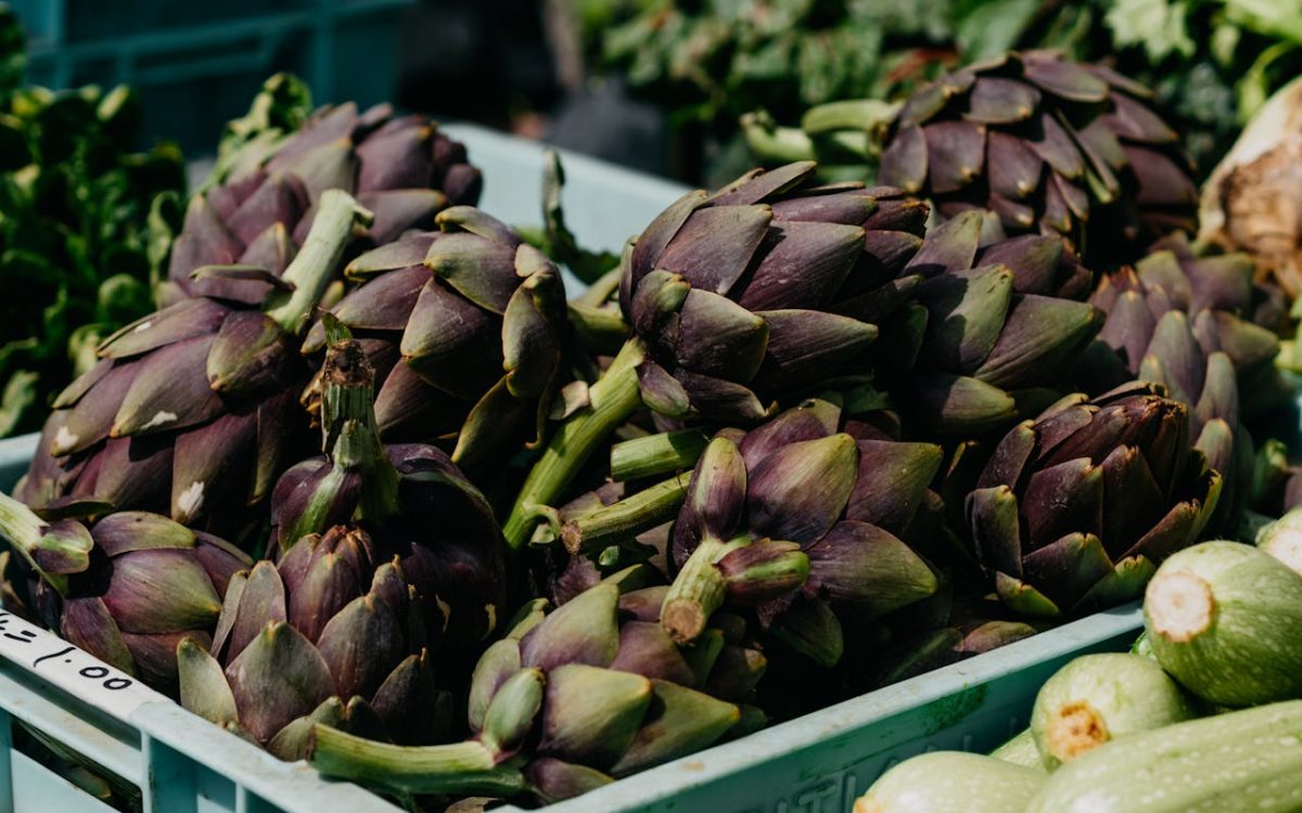 Extrato de Alcachofra: benefícios e propriedades para a saúde | Dr ...